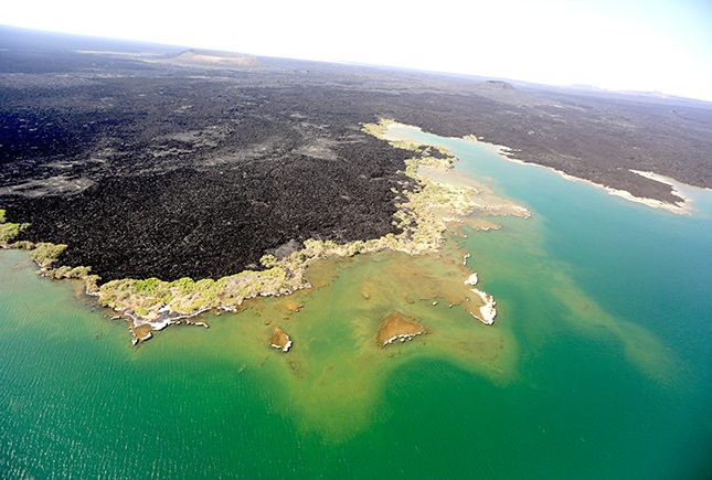 Lake Asal in the Danakil - Tropicair