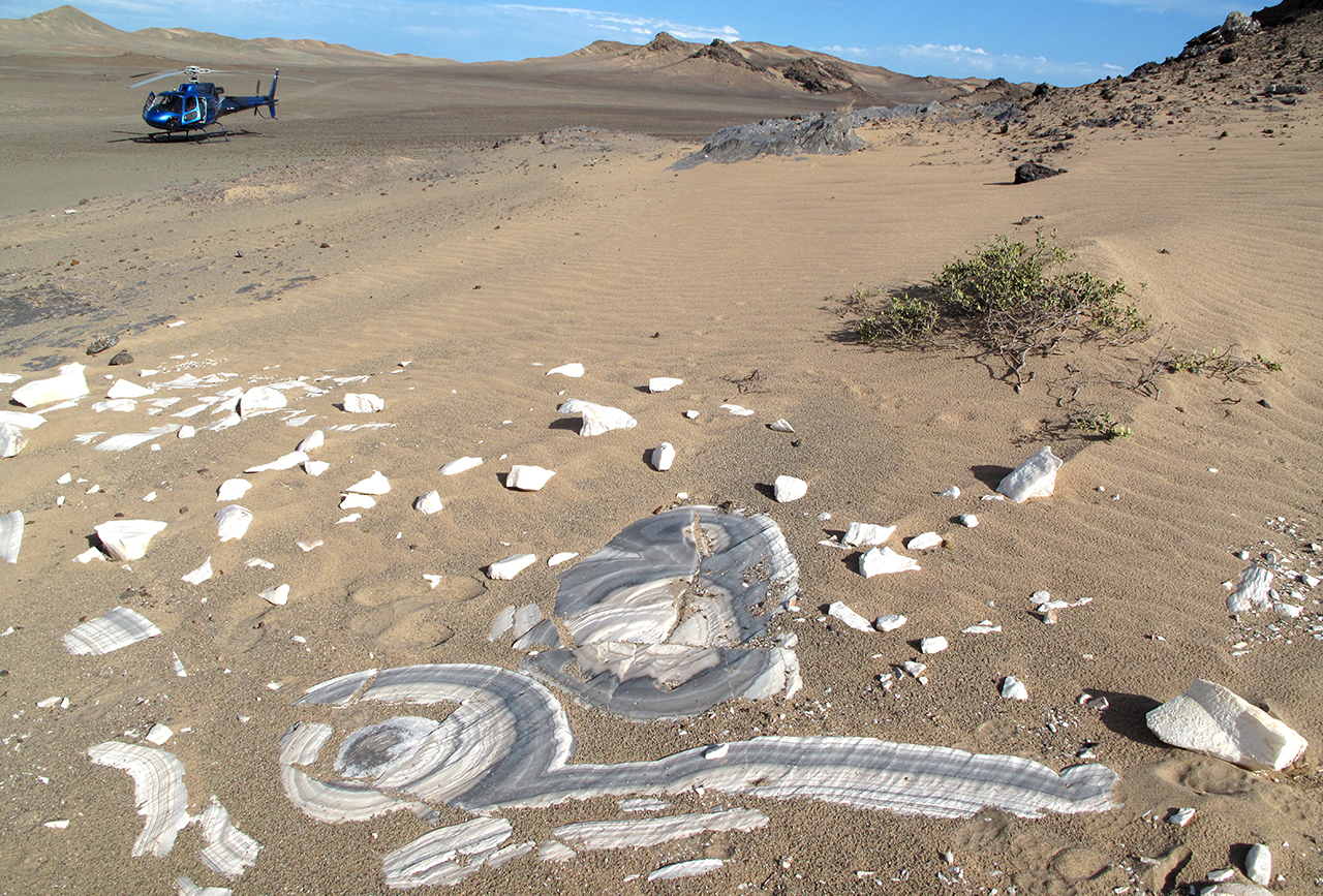 Bleached whale bones on the Skeleton coast - Tropicair