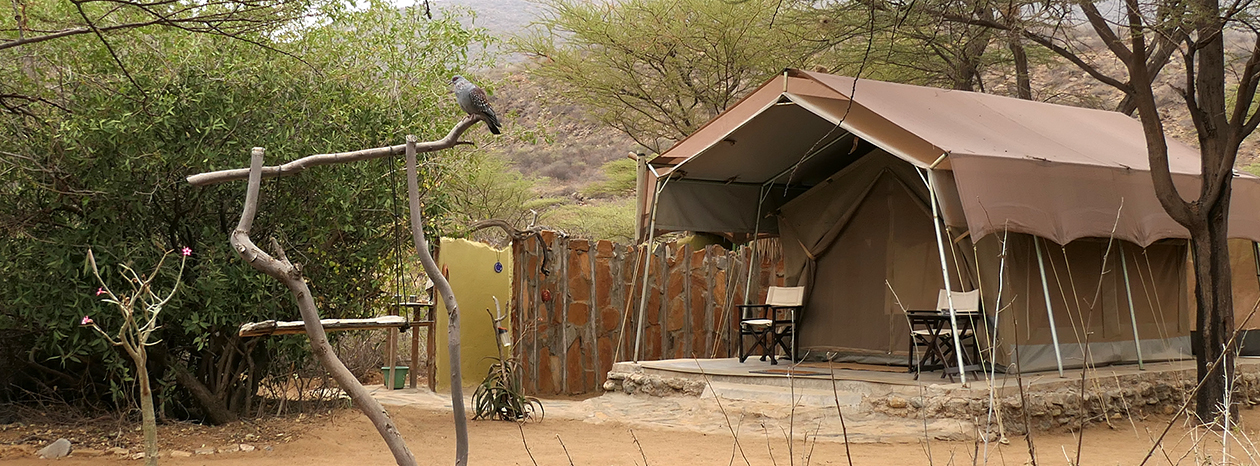 Koros Camp, northern Kenya - Tropicair