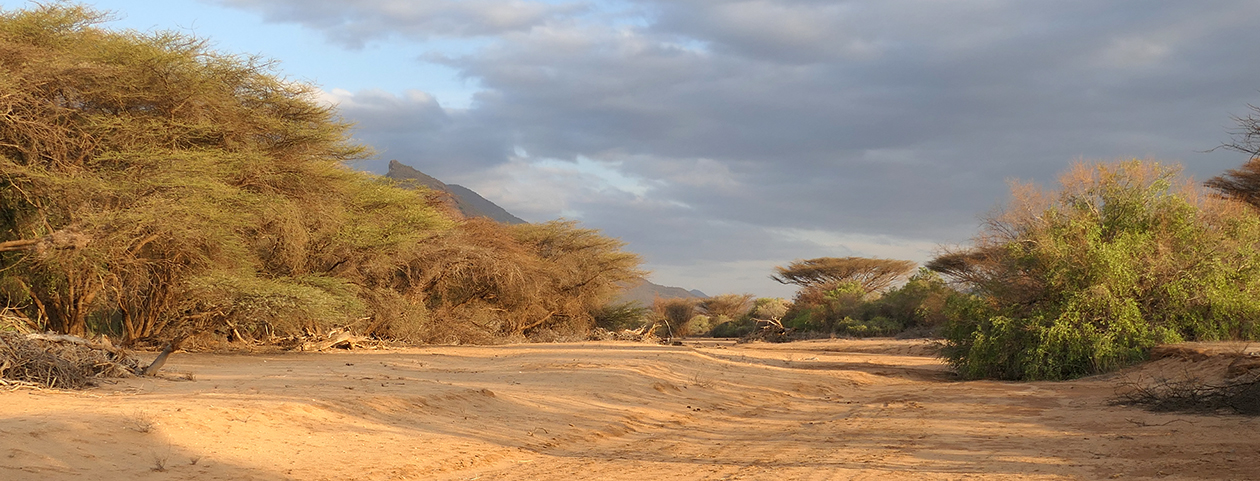 Koros Camp, northern Kenya - Tropicair